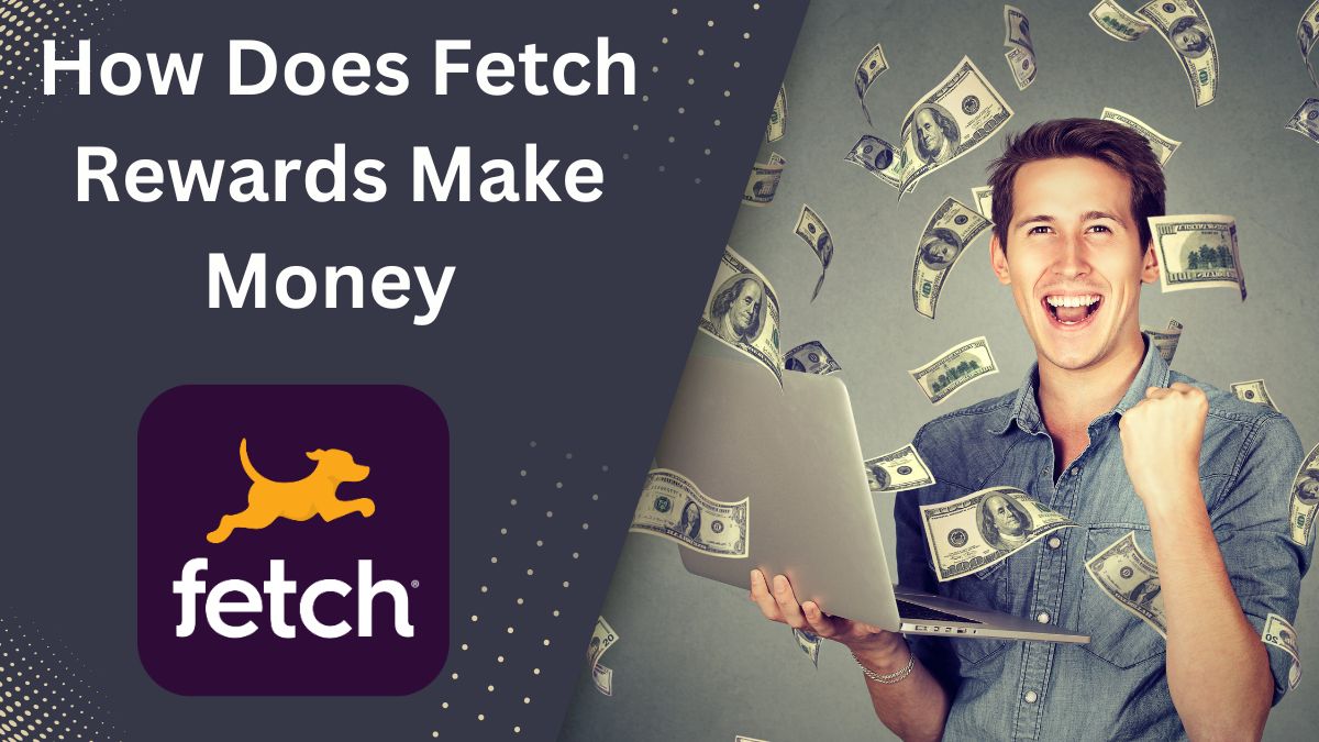 Fetch Rewards Vs Receipt Hog: Which One is Best For You