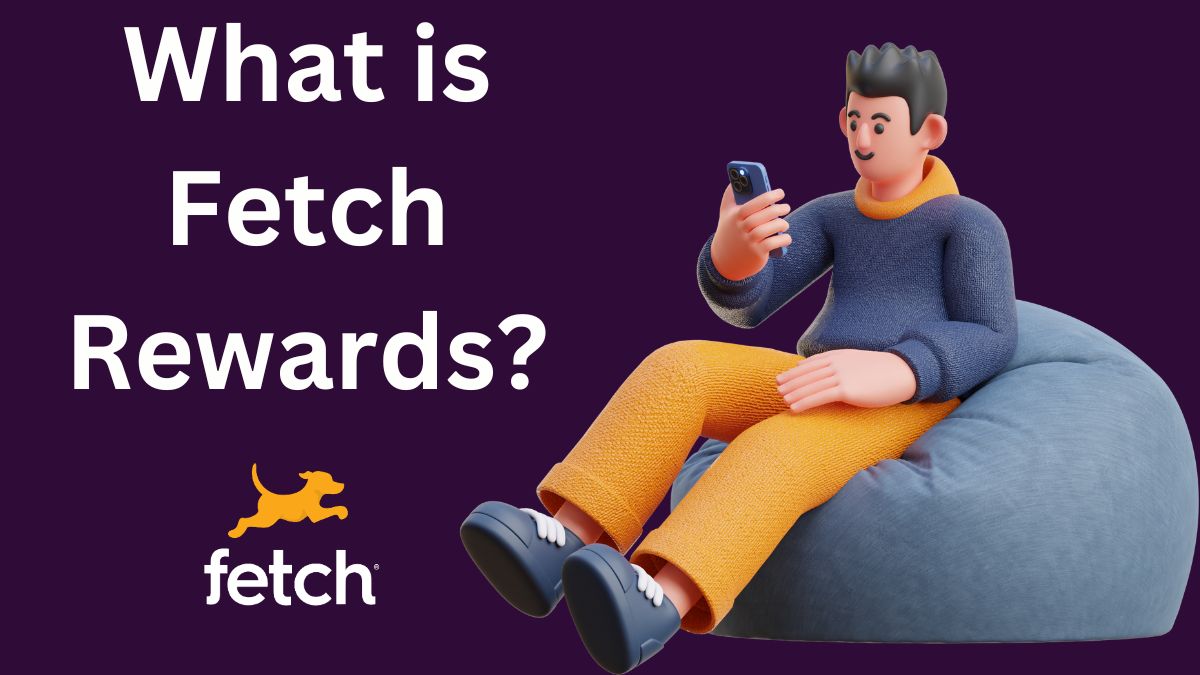 Fetch Rewards Vs Receipt Hog: Which One is Best For You