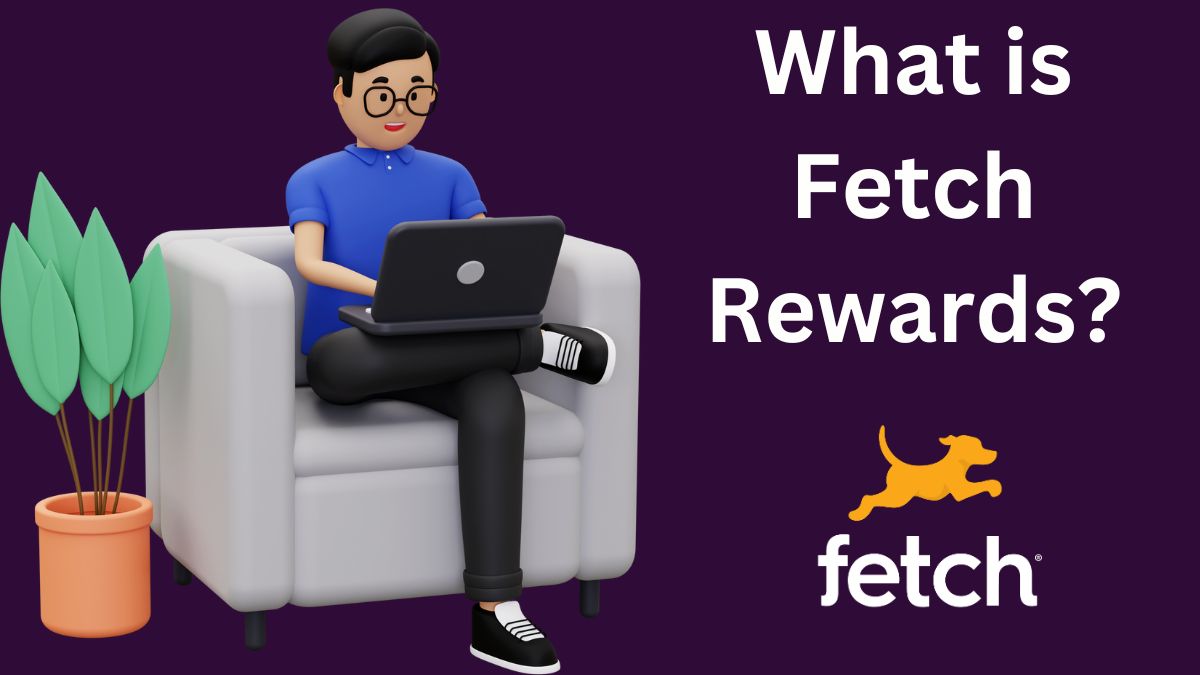 Fetch Rewards Vs Rakuten: Which One is Better [In 2024]